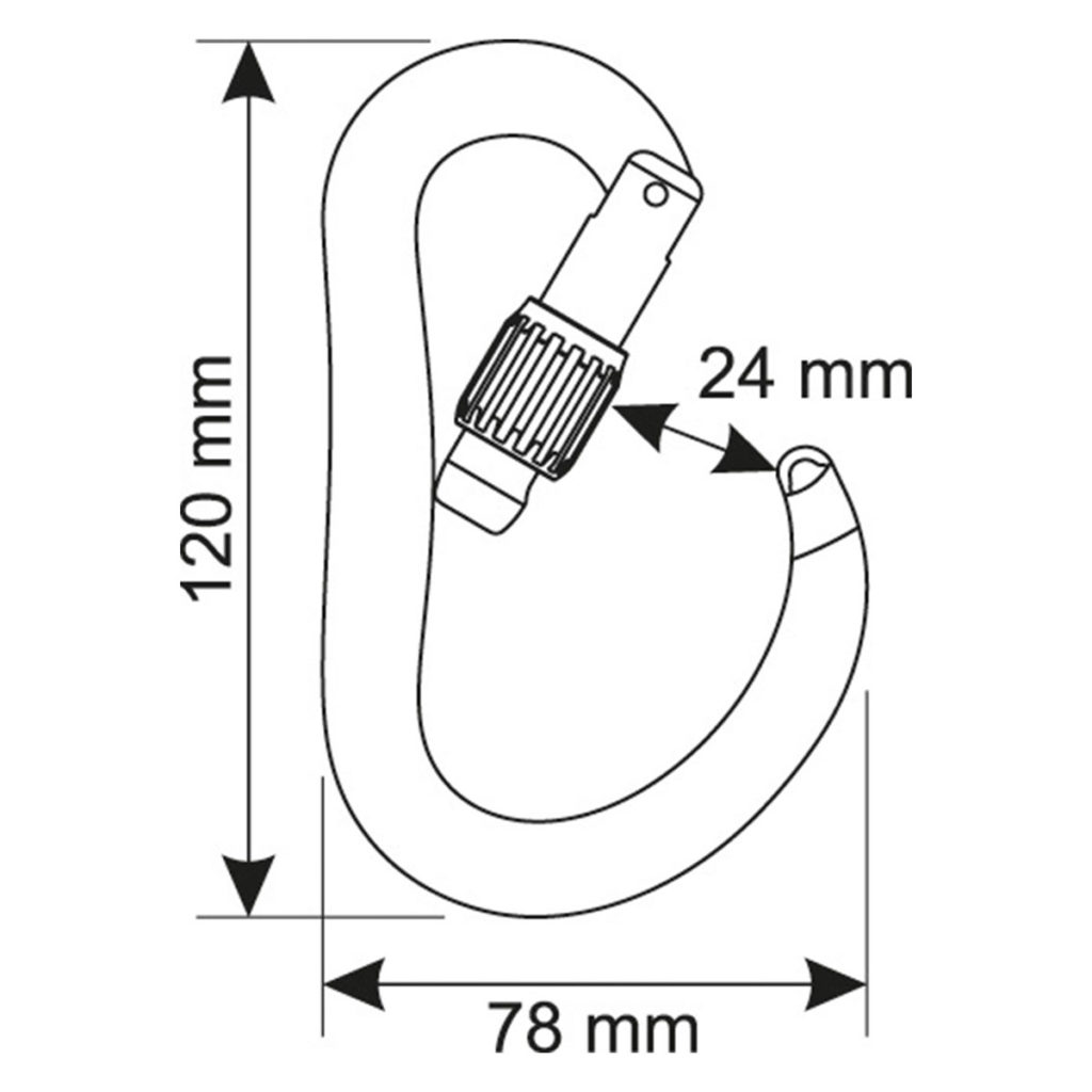 CAMP USA Atom Lock Carabiner | Voy Out